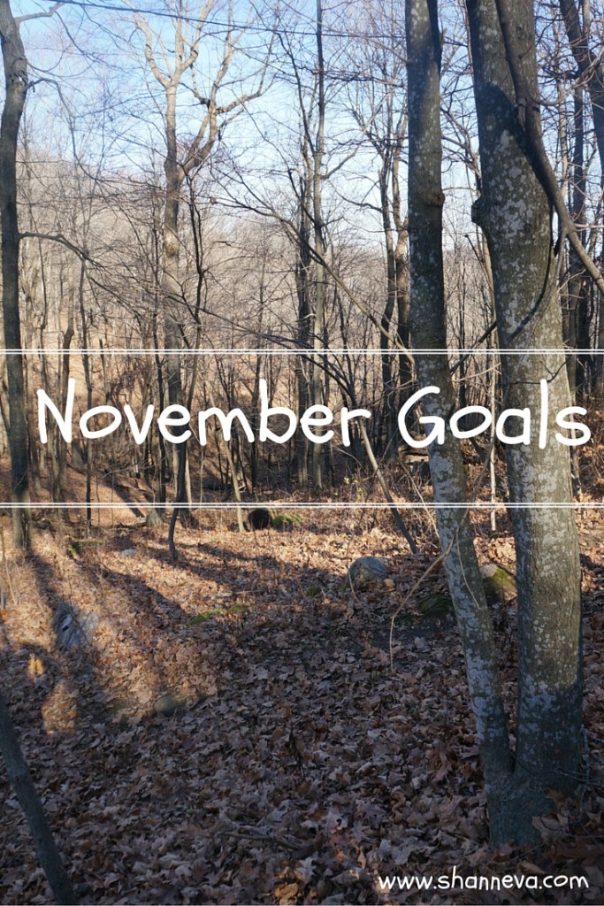 November Goals, Mid-Month Check - Shann Eva's Blog