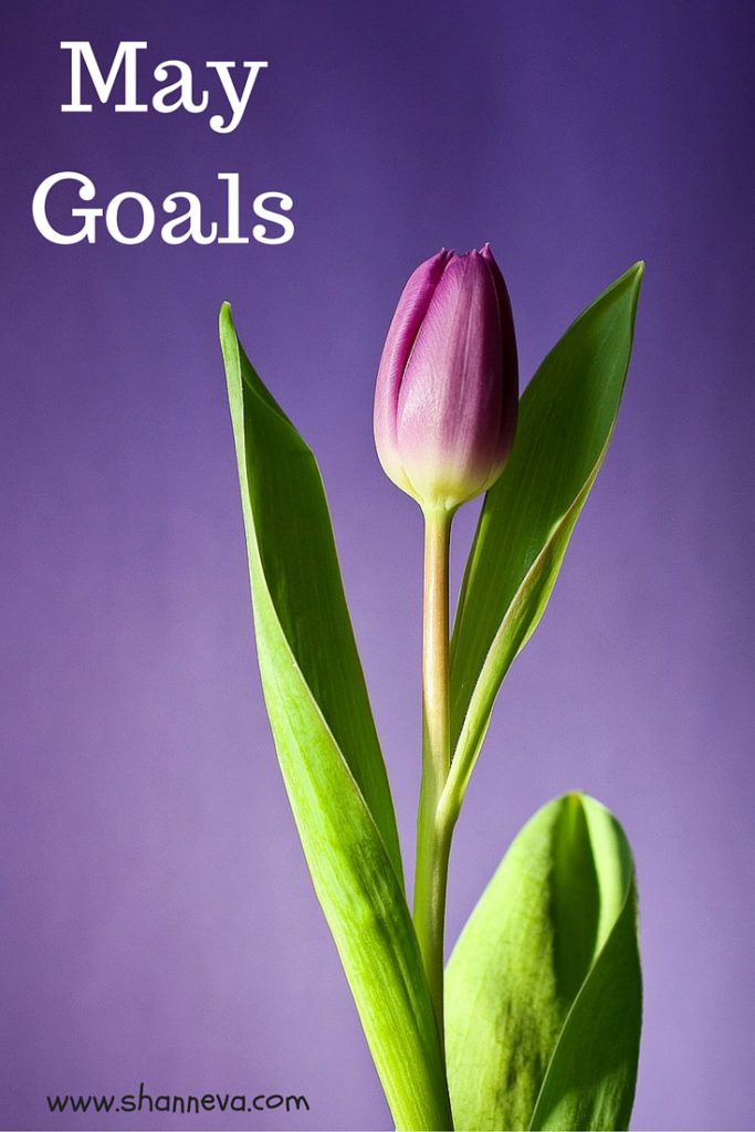 May Goals and Goals Made - Shann Eva's Blog