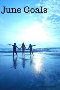 June Goals and a look back at May - Shann Eva's Blog