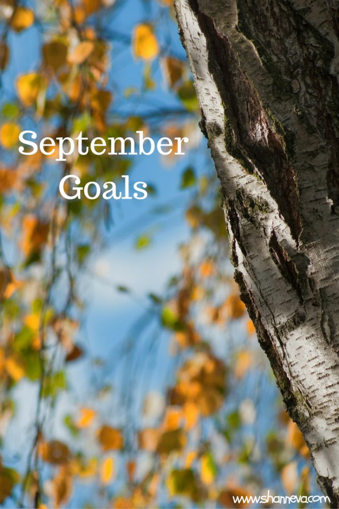 September Goals with an August Rewind - Shann Eva's Blog