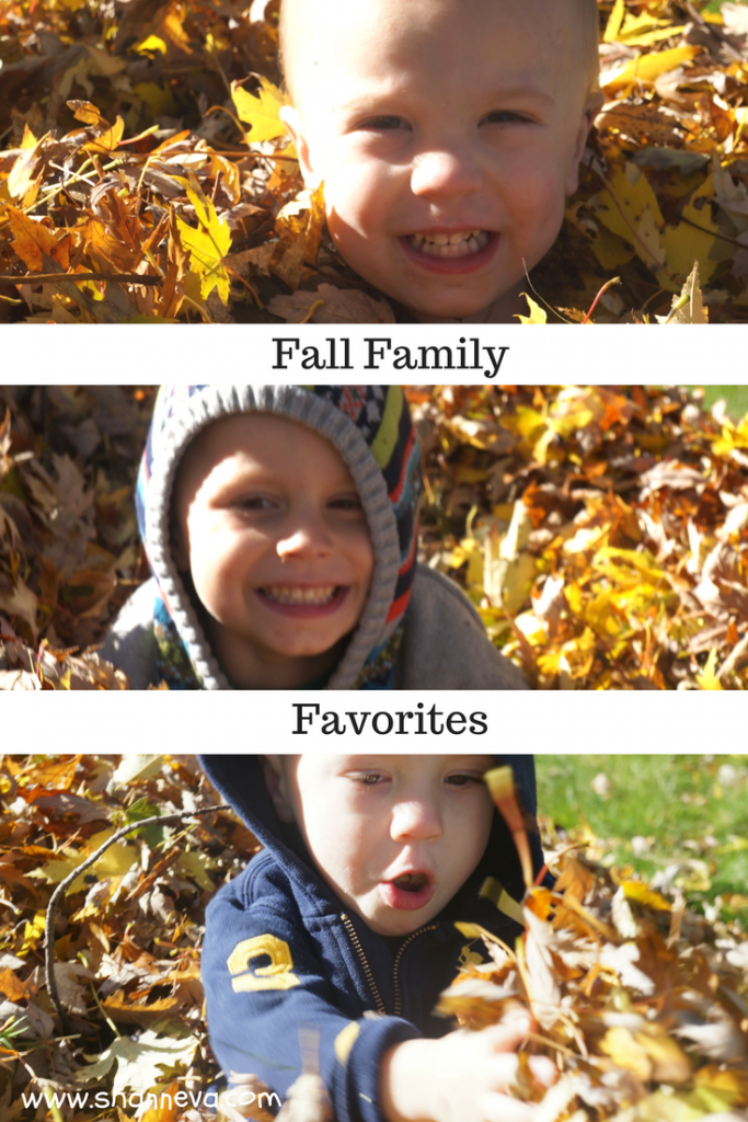Fall Family Favorites For Fun - Shann Eva's Blog