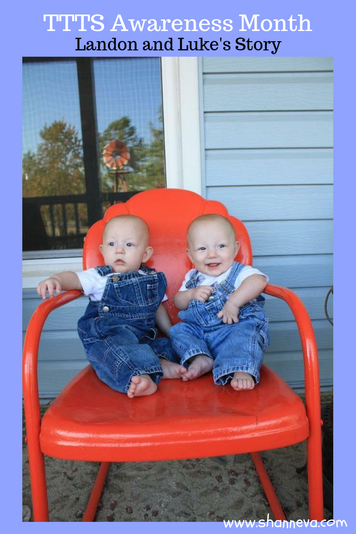 TTTS Awareness Month: Landon and Luke's Story - Shann Eva's Blog