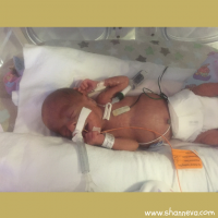 Complicated Stories: How Sharing Helps - Shann Eva's Blog