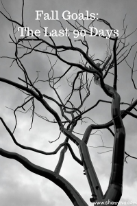 Fall Goals: The Last 90 Days - Shann Eva's Blog