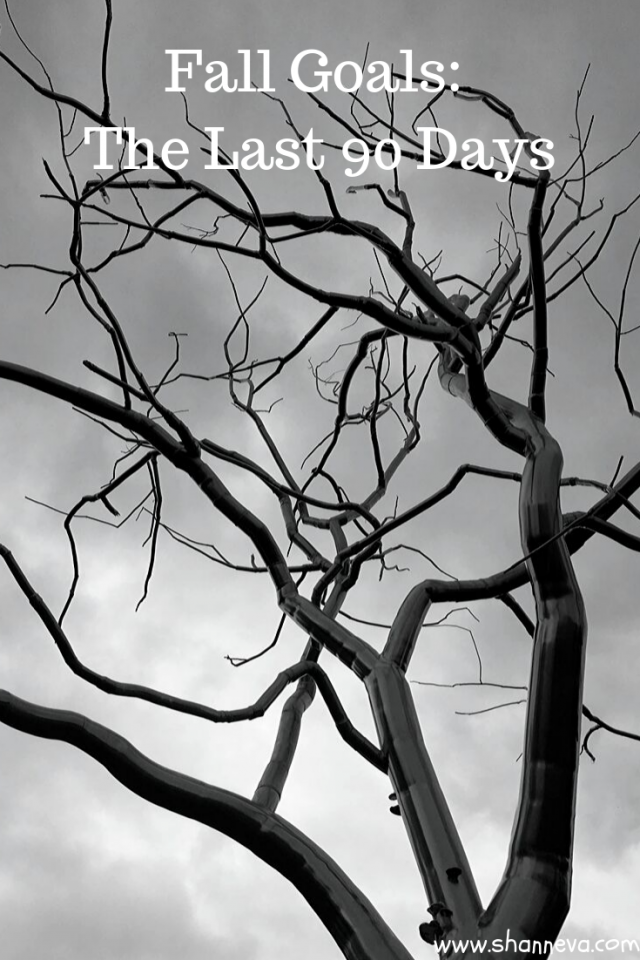 Fall Goals: The Last 90 Days - Shann Eva's Blog